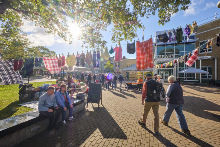 Port of Corner Brook expecting record cruise season – Corner Brook Port